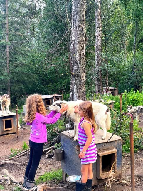 Fairbanks: Siberian Husky Kennel Tour - The Value of a Short Tour