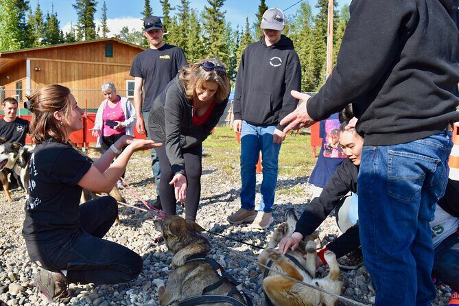 Fairbanks Sled Dog Adventure with Campfire & S'mores - An Engaging Look at the Tour Itself