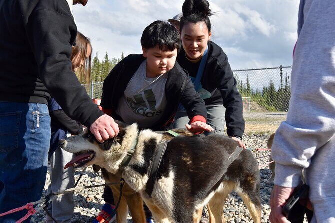 Fairbanks Sled Dog Adventure with Campfire & S'mores - Final Thoughts