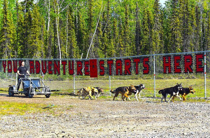 Fairbanks Sled Dog Adventure with Campfire & S'mores - FAQ