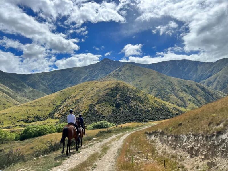 Fairlie, NZ: 5-Day Horse Adventure with Endless Mountains - Accommodation and Meals