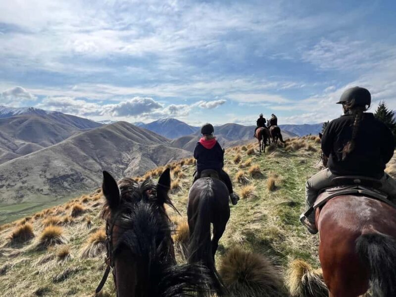 Fairlie, NZ: 5-Day Horse Adventure with Endless Mountains - Practicalities and Considerations