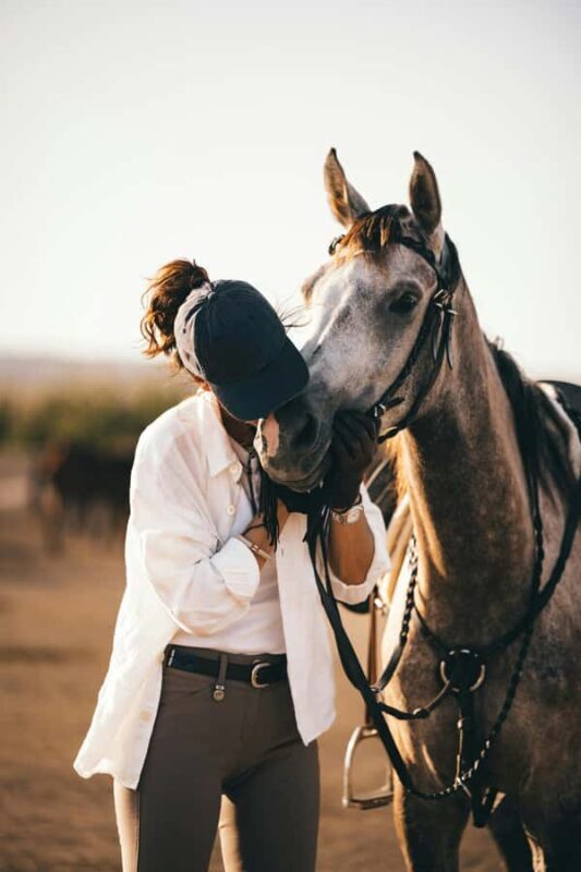 Fairlie,New Zealand: Full Day Private Backcountry Horse Trek - Starting Point and First Impressions in Fairlie