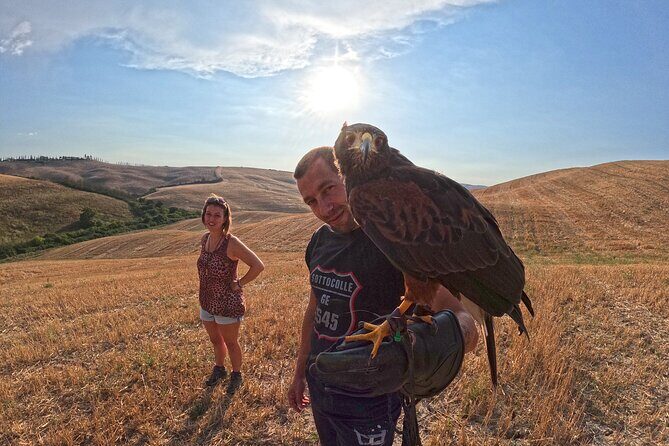 Falconry experience in Tuscany - The Experience: What to Expect from Start to Finish