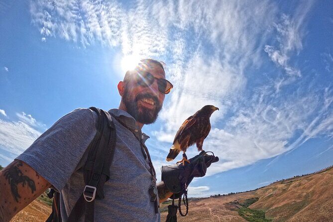 Falconry experience in Tuscany - Practical Details and Tips