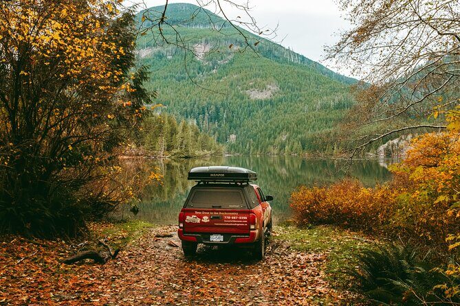 Fall Adventure Vancouver Island Grizzly Bears, High Tea and More - Exploring Vancouver Island’s Fall Charm