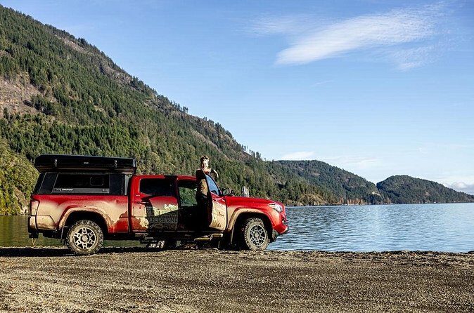 Fall Adventure Vancouver Island Grizzly Bears, High Tea and More - The Sum Up