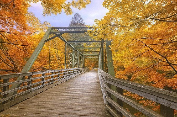 Fall Foliage Scenic Day Trip to Vermont and Western MA with Stops - The Sum Up: Who Is This Tour Perfect For?