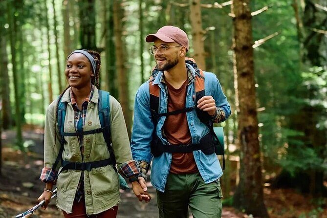 Fall Foliage Tour - Exploring the Fall Foliage Tour in Asheville: A Vibrant Autumn Experience