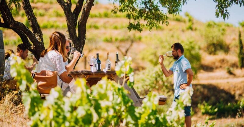 Falset: Guided Wine Tour to the Priorat by a Local - Is This Tour Worth It?