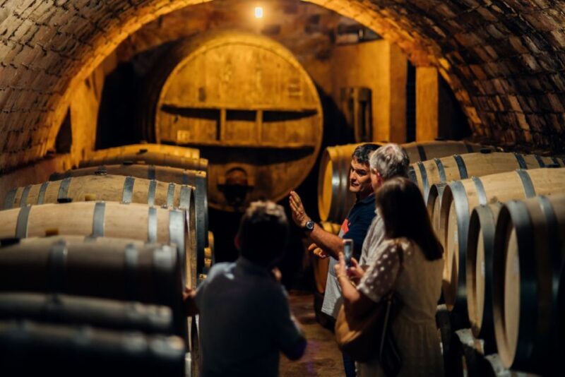 Falset: Guided Wine Tour to the Priorat by a Local - Frequently Asked Questions