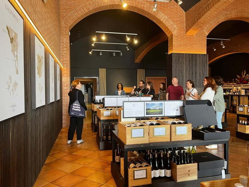 Familia Torres Winery: Gastronomic Tapas & Wine Experience - Key Points