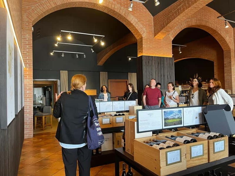 Familia Torres Winery: Gastronomic Tapas & Wine Experience - Practical Aspects and Value