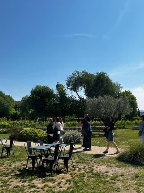 Familia Torres Winery: Gastronomic Tapas & Wine Experience - The Sum Up: Is This Tour Worth It?