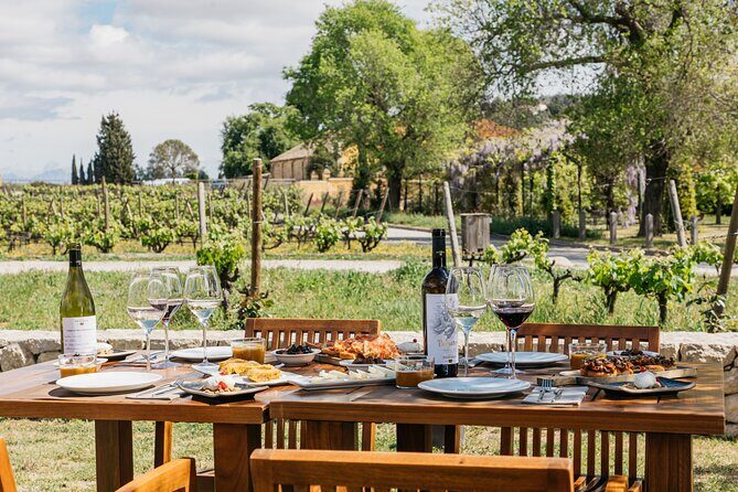 Familia Torres Winery: Gastronomic Tapas & Wine Experience - Deep Dive into the Itinerary