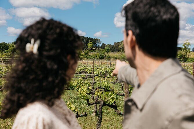 Familia Torres Winery: Gastronomic Tapas & Wine Experience - Final Thoughts