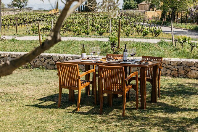 Familia Torres Winery: Gastronomic Tapas & Wine Experience - FAQs