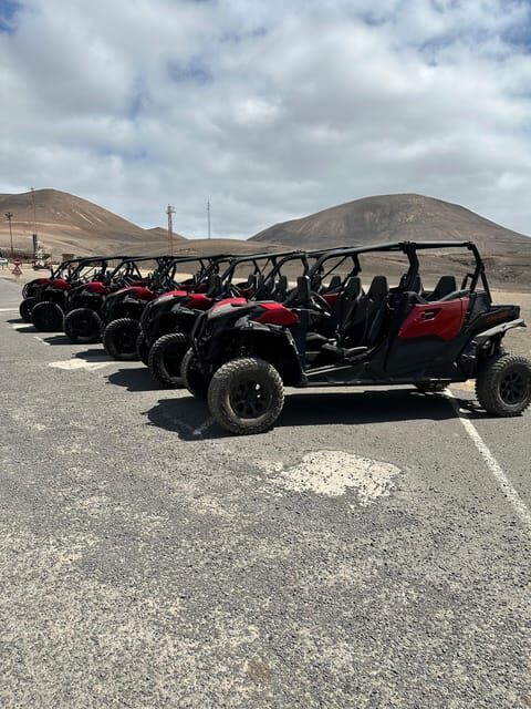 Family buggy - 4 seats, on road tour - Pricing and Value for Money  