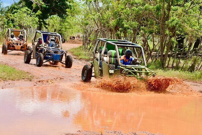 Family Buggy Adventure in Punta Cana  Up to 4 People per Vehicle - Who Is This Tour Best For?