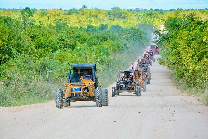 Family Buggy Adventure in Punta Cana  Up to 4 People per Vehicle - The Sum Up