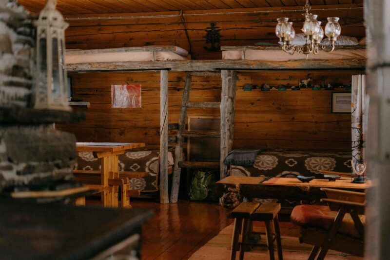 Family Day in the Wild with Lunch - An In-Depth Look at the Experience