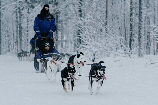 Family day: Reindeer, Husky and Snowmobiling in Levi - FAQ