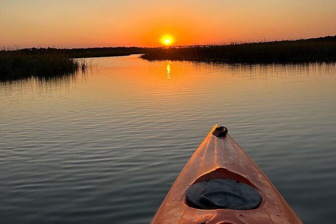 Family Friendly Dolphin Nature Kayak Tours in Hilton Head - Who Will Love This Tour?