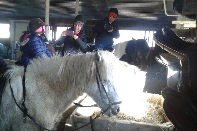 Family Horse Riding Tour in Thorlakshofn - An In-Depth Review of the Thorlakshofn Horse Riding Tour