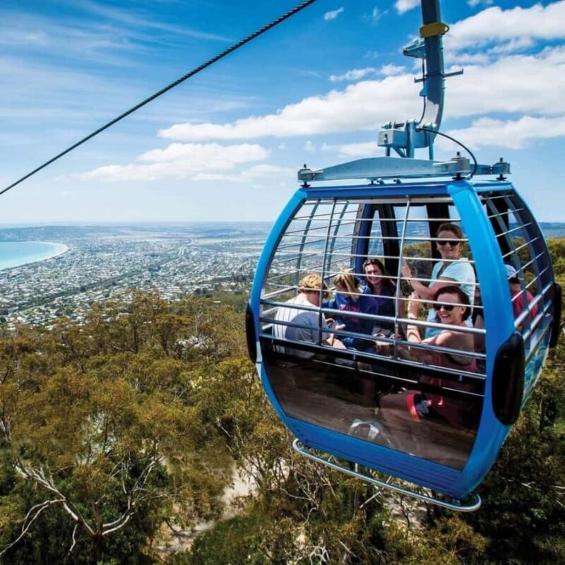 Family Lunch and Arthurs Seat Eagle for 2 Adults and 2 kids - Key Points