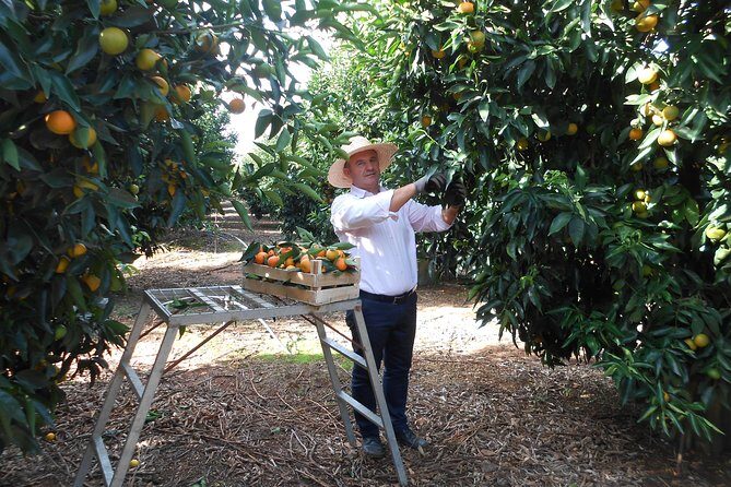 Family Mandarin Farming Tour with Traditional Cooking Lunch - FAQs