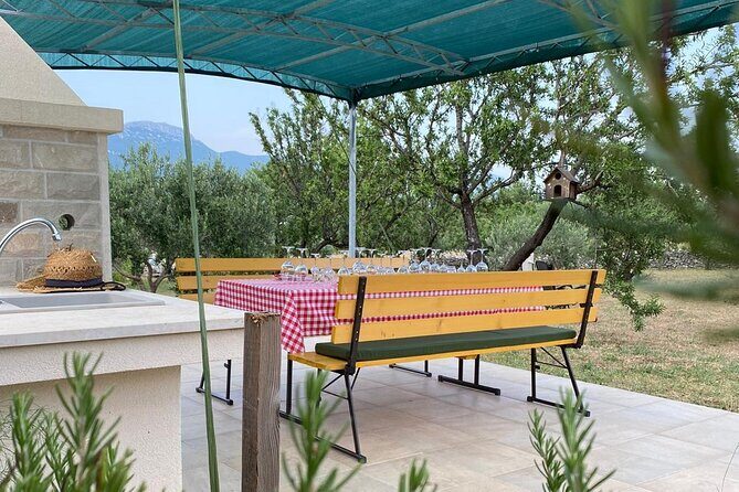 Family-run Vineyard Tour & Award Winning Wine Tasting/Delicacies - The Sum Up