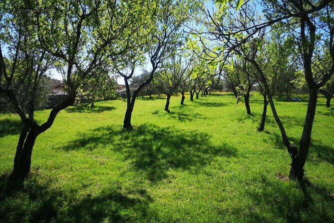 Family-run Vineyard Tour & Award Winning Wine Tasting/Delicacies - FAQ