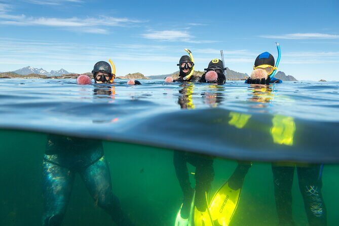 Family Snorkeling Tour - What to Expect During the Tour