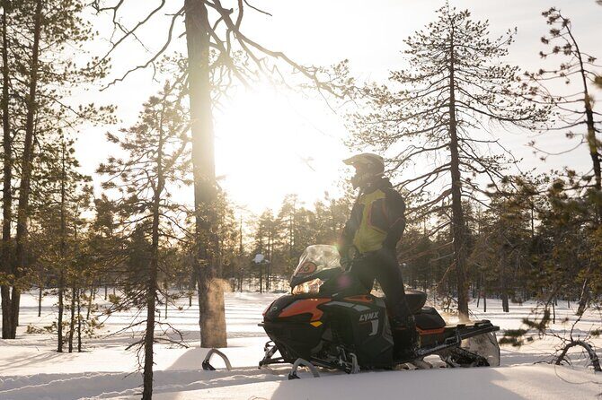 Family Snowmobile Safari in Rovaniemi - Key Points