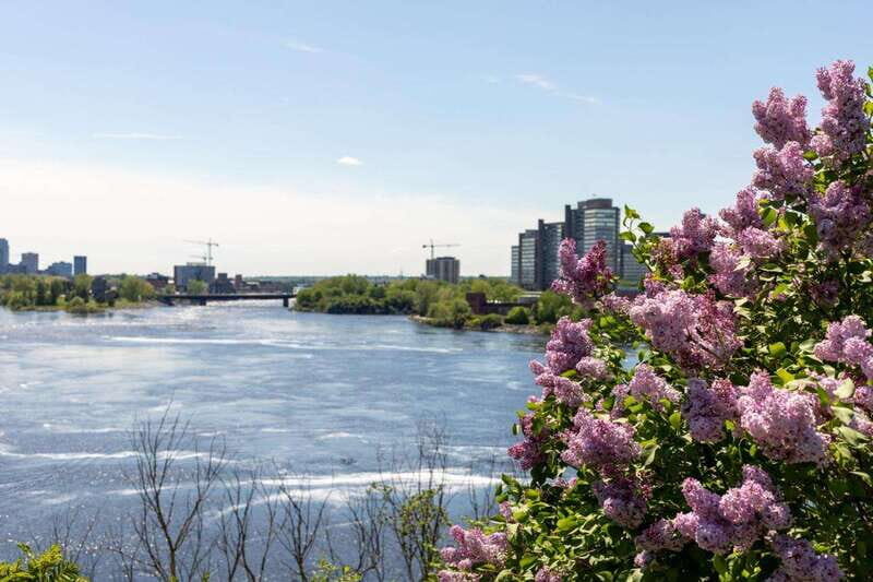 Family Walking Tour in Ottawa: Special Highlights - FAQ