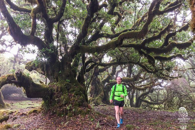 Fanal Ancient Forest Running Tour (Easy-Moderate) - Frequently Asked Questions