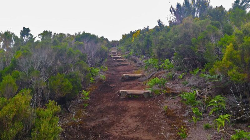 Fanal / Assobiadores - Levada Walk - FAQ