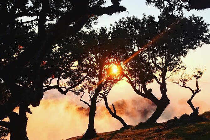 Fanal Forest Private Sunset Hike - Key Points