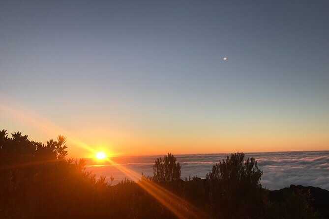 Fanal Forest Private Sunset Hike - Discovering the Fanal Forest Private Sunset Hike