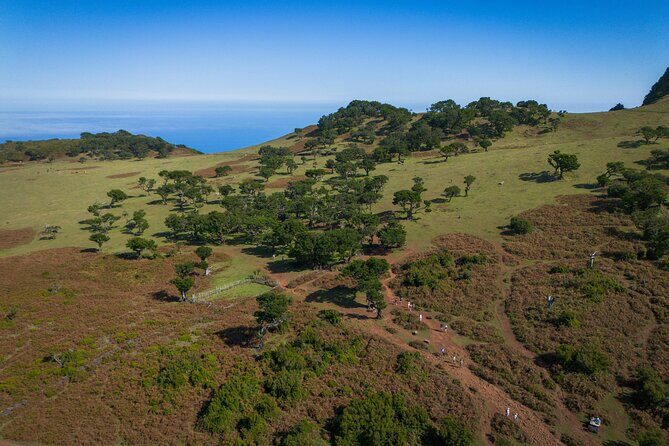 Fanal & Porto Moniz - West Madeira Tour - Cost & Value