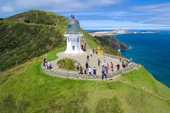 Far North New Zealand Tour Including 90 Mile Beach and Cape Reinga from Paihia - Key Points