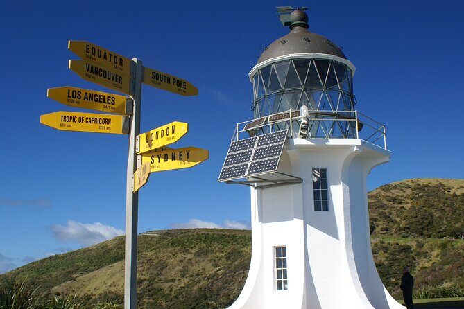 Far North New Zealand Tour Including 90 Mile Beach and Cape Reinga from Paihia - Final Thoughts: Is This Tour Right for You?