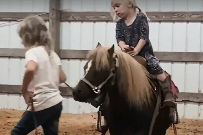 Farm Adventure Experience in Red Hill Ranch - An Overview of the Red Hill Ranch Experience