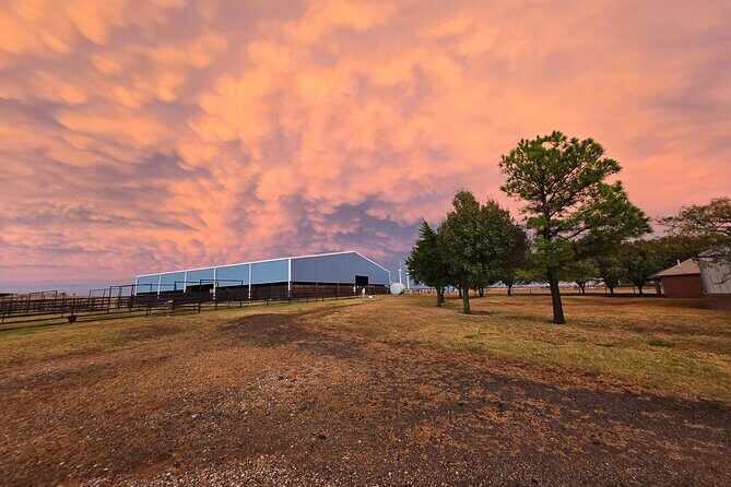 Farm Adventure Experience in Red Hill Ranch - Who Will Love This Experience?