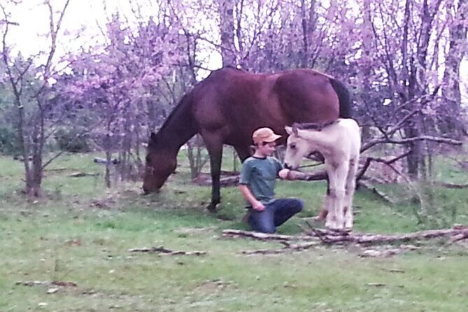 Farm Adventure Experience in Red Hill Ranch - FAQ: Your Questions Answered