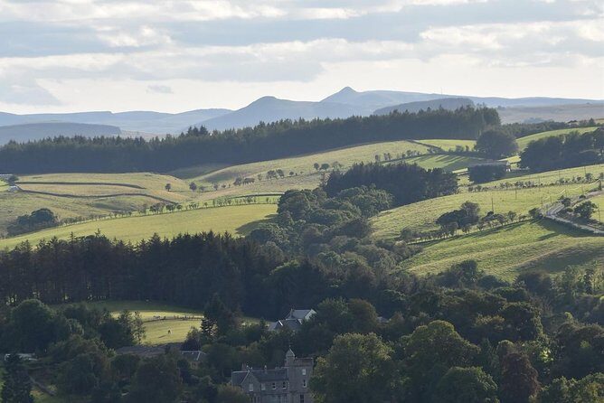 Farm Attraction - Highland Cows, Animal Feeding, Wholesome fun! - What Youll Love About This Farm Tour