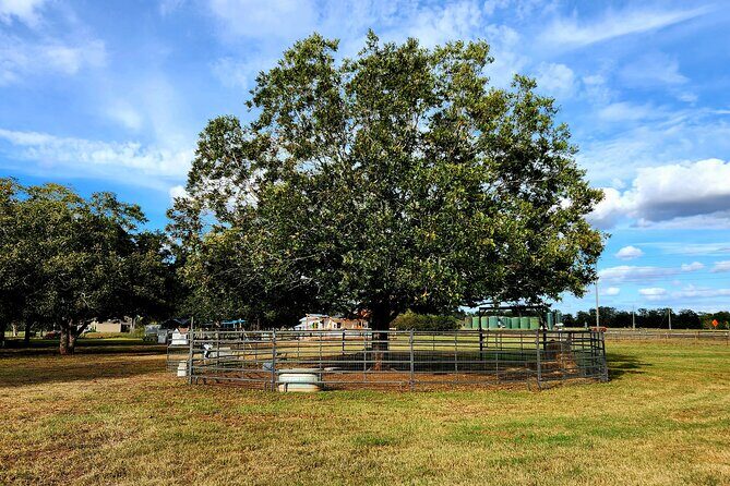 Farm Day Pass General Admission - Final Thoughts