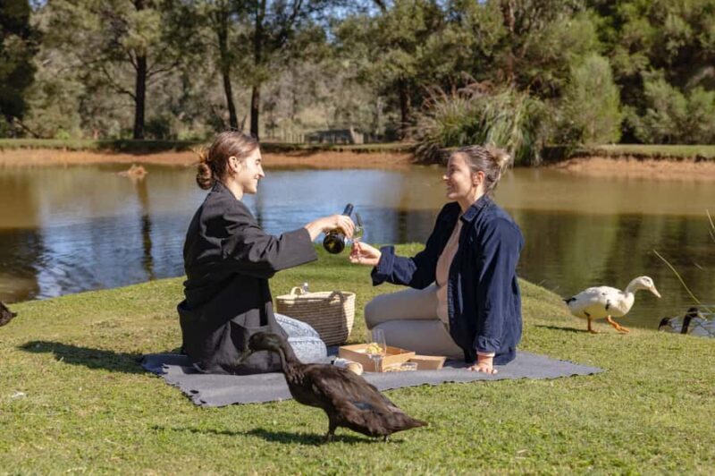 Farm Picnic for 2 adults - Exploring the Green Olive at Red Hill Experience