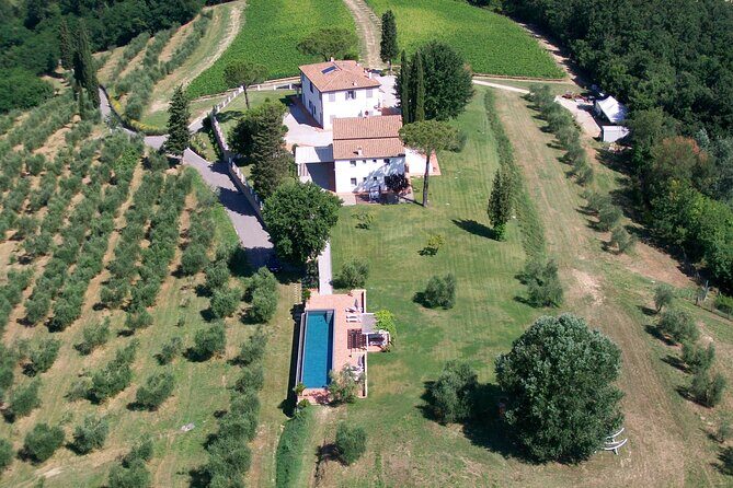 Farm To table Experience on an organic hilltop estate in Tuscany - Key Points