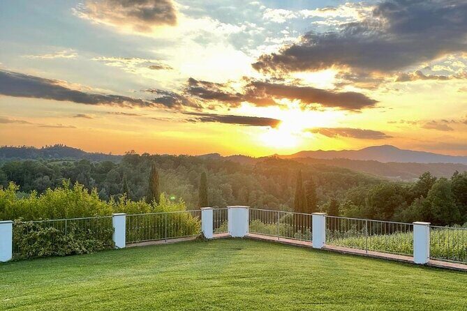 Farm To table Experience on an organic hilltop estate in Tuscany - Authentic Experiences from Guest Reviews